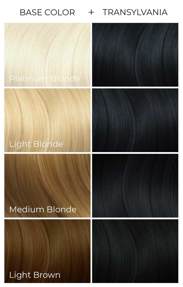 Arctic Fox Semi-Permanent Hair Color #TRANSYLVANIA - 100% Vegan ...